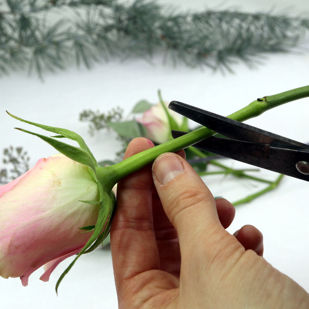 DIY | Little Present -- Roses-to-Go