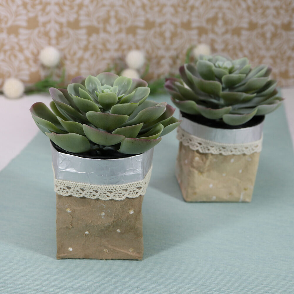 DIY | Milk Carton Plant Pots (for Succulent plants)