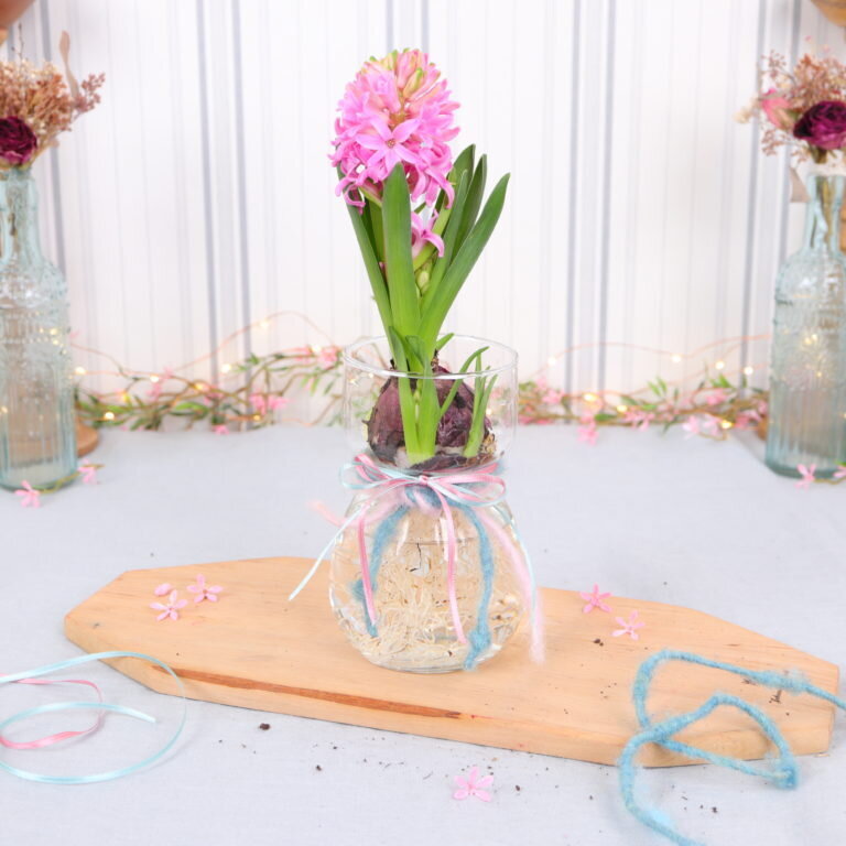 DIY | Hyacinth in the Glass Vase